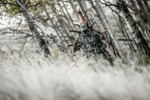 Elk Hunting Basics for New Hunters - TruGlo